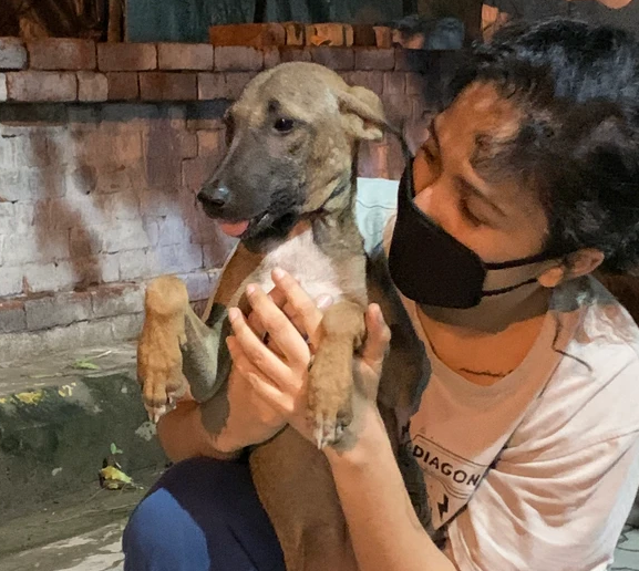 Lucknow's Mauli Mehrotra's Foundation is giving new life to street dogs ...